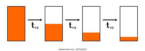 Vector Illustration Half Life Radioactive Decay Stock Vector Royalty Vector Illustration Half Life Radioactive Decay Stock Vector Royalty