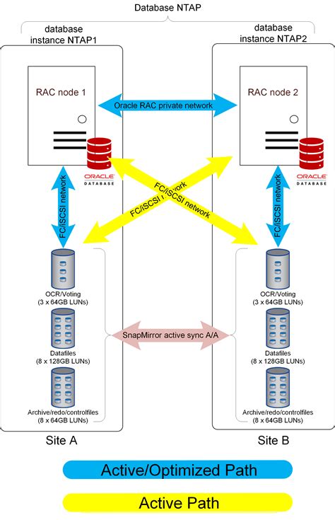 Oracle Extended RAC With SnapMirror Active Sync