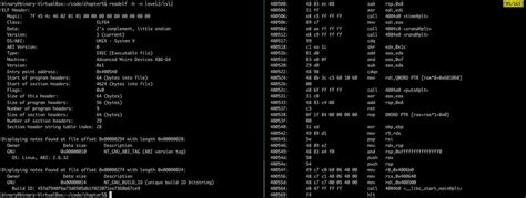 Practical Binary Analysis Challenge Writeup For Level 2 R Reverseengineering