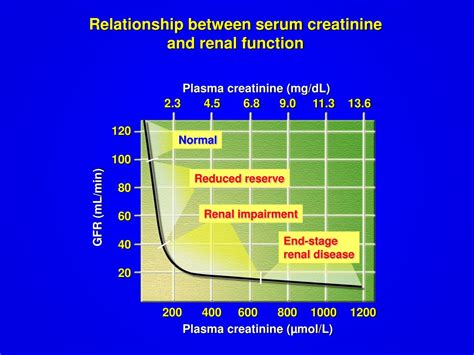 Ppt Renal Clearance Powerpoint Presentation Free Download Id6390992