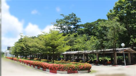 วิทยาลัยนอร์ทเทิร์น ตาก