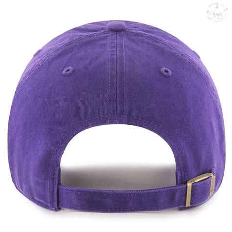 Baltimore Ravens 2023 Afc North Divion Champions Purple Cap