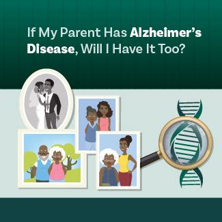 What Causes Alzheimers Disease National Institute On Aging