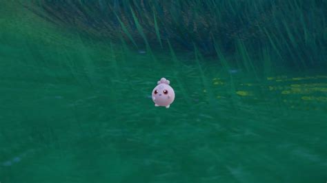 How To Get Igglybuff Fluff In Pokémon Scarlet And Violet Gamepur