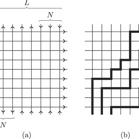 An L × M Lattice With N First Last Down Arrows At The Bottom Top Download Scientific