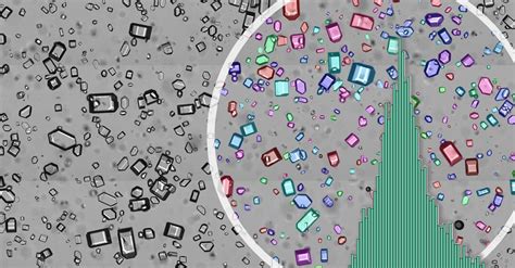 Sugar Analysis Particletech Aps