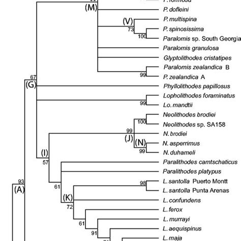 Trees Produced From A Total Evidence Alignment TEB Of Genes ITS Download Scientific Diagram