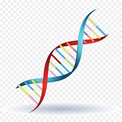 Dna Symbol Vector At Collection Of Dna Symbol Vector Free For Personal Use