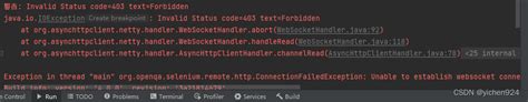 Chromedriver启动chrome浏览器后，地址栏只显示data； Remote Allow Origins Csdn博客