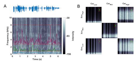 Stimulus Design A Acoustic Waveform Top And Spectrogram Bottom