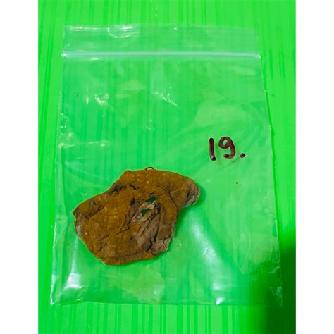 รกแมว ของหายาก แม่แมวสีส้ม ของแท้แน่นอน Shopee Thailand