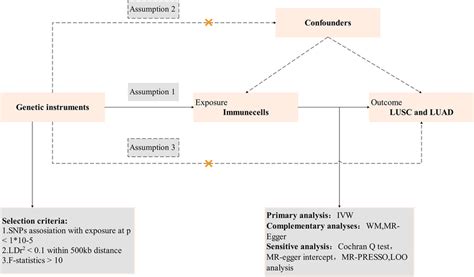 Overview Of This Mendelian Randomization Mr Analysis Assumption 1 Download Scientific