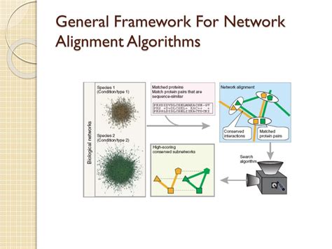 Ppt Ppi Network Alignment Powerpoint Presentation Free Download Id