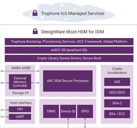 Troot Hsm For Isim Synopsys