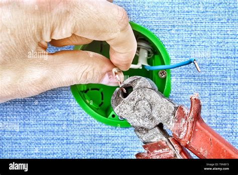 Electrician Is Cutting Copper Wires Of European Standard Round Electrical Box With Nippers Tool