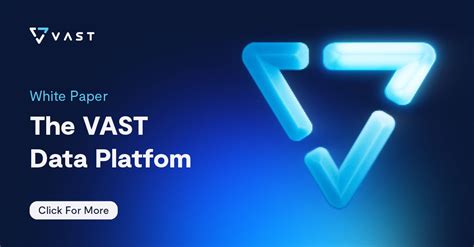 The Vast Data Platform Brings Data To Life By Creating An Environment