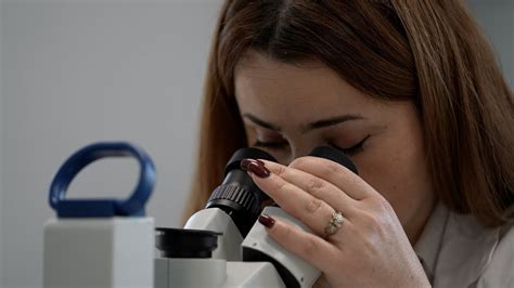 Աշխատանքի տոնավաճառն օգնեց Արցախից բռնի տեղահանված Կարինեին Youtube