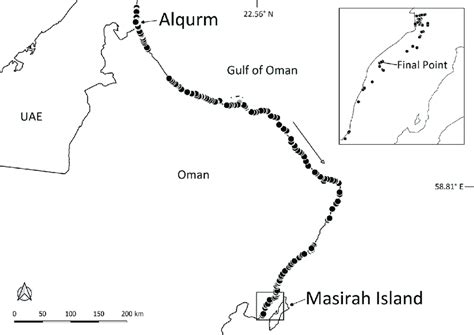 The 42 Day 805 Km Migration Of Juvenile Green Turtle 67871 From Alqurm Download Scientific The 42 Day 805 Km Migration Of Juvenile Green Turtle 67871 From Alqurm Download Scientific