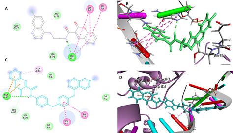Ad Docking Results Of The Synthesized Compounds Best Scoring Download Scientific Diagram