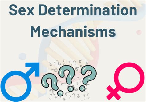 The Genetic Puzzle Deciphering Sex Determination Mechanisms