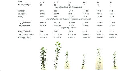 Illustration Of The Six Clusters Obtained From A Hierarchical Ascendant Download Scientific