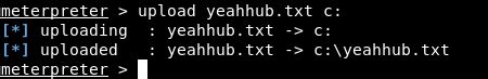 Essential Meterpreter Commands Everyone Should Know Yeah Hub