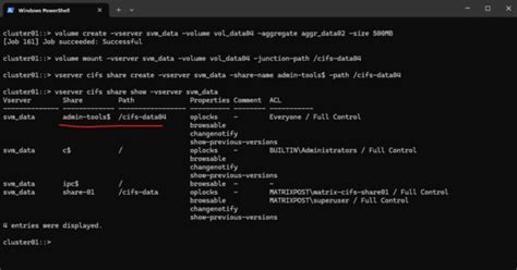 Cheat Sheet Netapp Ontap Commands Used In Day To Day Operations
