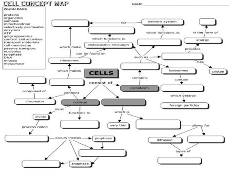 Pdf Cell Map Dokumen Tips