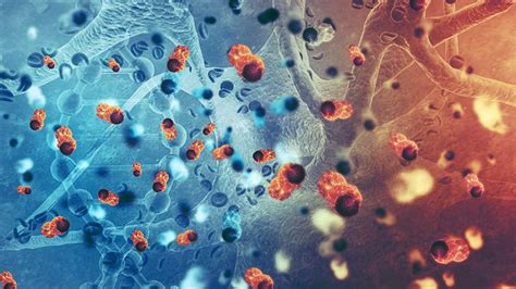 Olaparib Parpinhibitors Genomicmedicine Genomics Education Programme