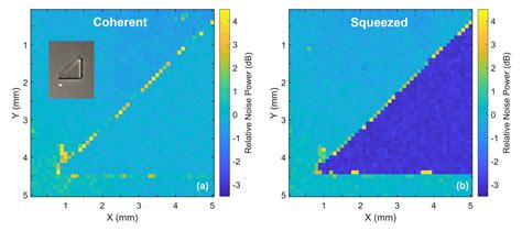 Quantum Light Source Advances Bioimaging Clarity Agrilife Today