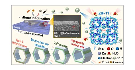 In Situ Synthesis Of Zeolitic Imidazolate Framework 11zno Heterostructures For Enhanced