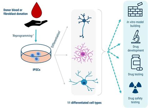 Axol Biosciences Ipsc Derived Manufacturing Capabilities