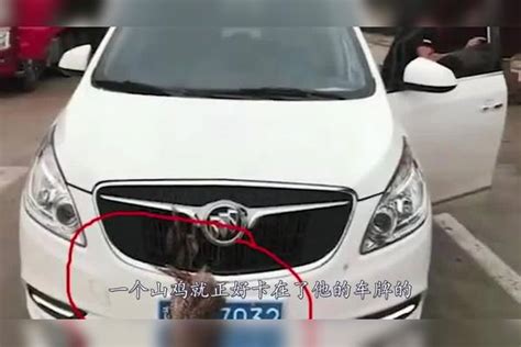 男子遮挡车牌上高速被查？查完监控，交警笑了：这回不扣你分了监控车牌男子