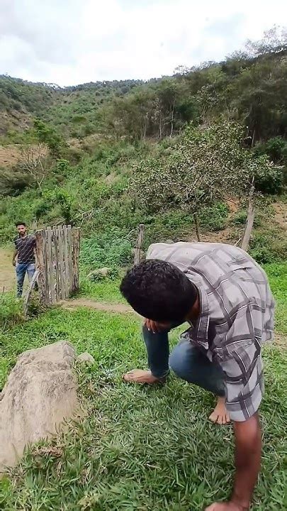 Resolvendo Um Problema Fácil Videoviral Comedia Youtube