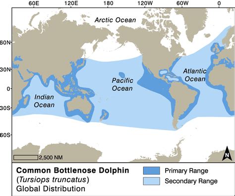 Grand Dauphin Whale Watching Handbook Fr
