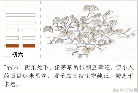 易經第十二卦否卦爻辭原文及白話翻譯 每日頭條