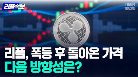 리플 전망 엑스알피 폭등 후 돌아온 가격 매수 기회인가 Xrp 리플코인 리플전망 리플호재 리플가격 리플실시간 리플하락 엑스알피 Youtube
