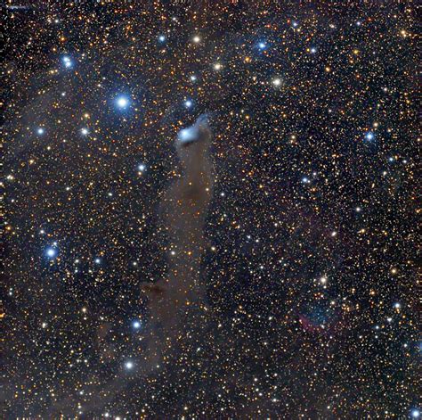 Astrophotography By Leonardo Orazi Photo Gallery Nebulae Vdb152 Reflection Nebula In Cepheus