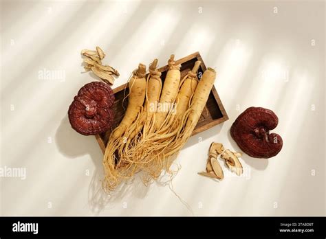 On A White Background With Shadow Of Window A Wooden Tray Of Ginseng Roots And Ganoderma