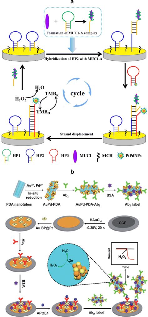 Schematic Display Of An Aptasensor A And An Immunosensor B