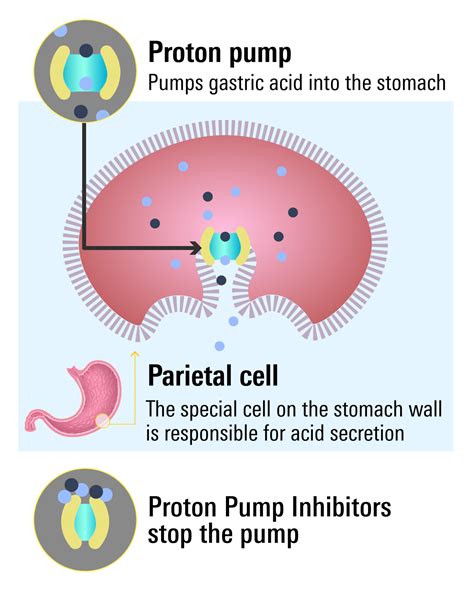 Iv Protonix Side Effects At Elizabeth Gardiner Blog