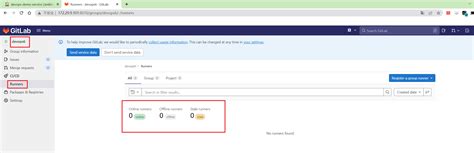Gitlabrunner安装部署enter Optional Maintenance Note For The Runner Csdn博客