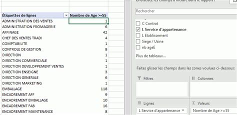 TCD Filtre Une Seule Colonne