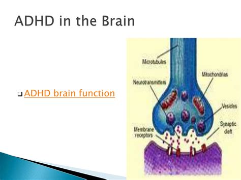 Attention Deficit Hyperactivity Disorder Ppt