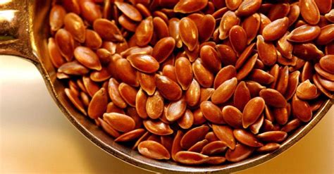 გამოცდილი ნუტრიციოლოგი გირჩევთ სელის თესლი რაციონში ჩართოთ რჩევები ვივიენისგან