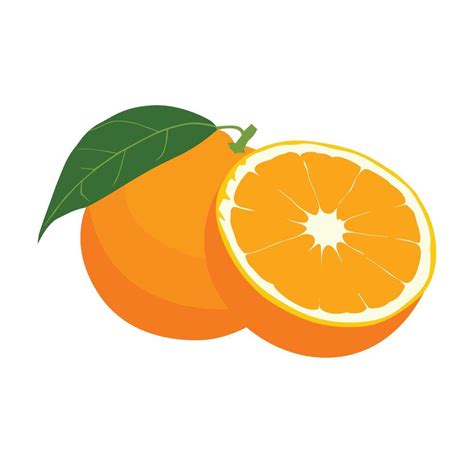 Fresh Orange Fruit Cartoon 49898378 Vector Art At Vecteezy