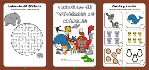 Cuadernillo De Divisiones Exactas 3 Cifras Entre 2 Orientacion Andujar