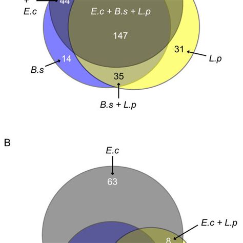 Contribution Of The Three Input Metabolic Networks Of E Coli Ec