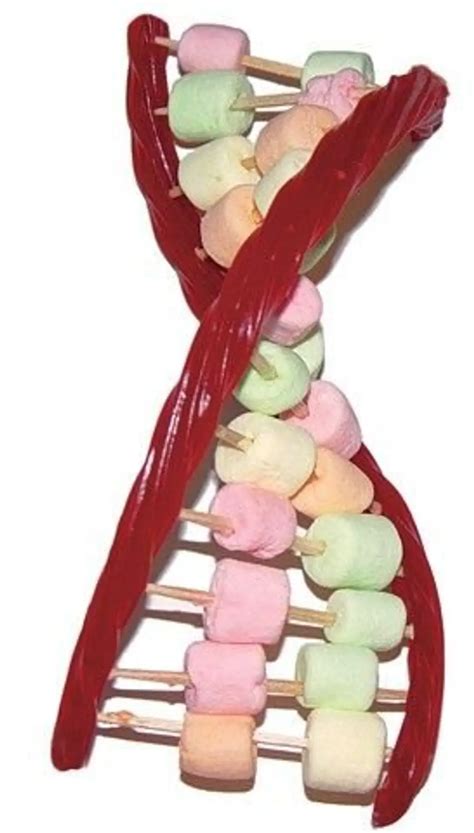 22 Candy Creations You Need To See To Believe