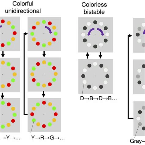 Schematic Of The Stimulus Configurations With The Global Solutions For